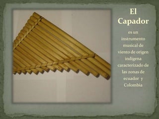 Instrumentos propios de colombia. | PPTX