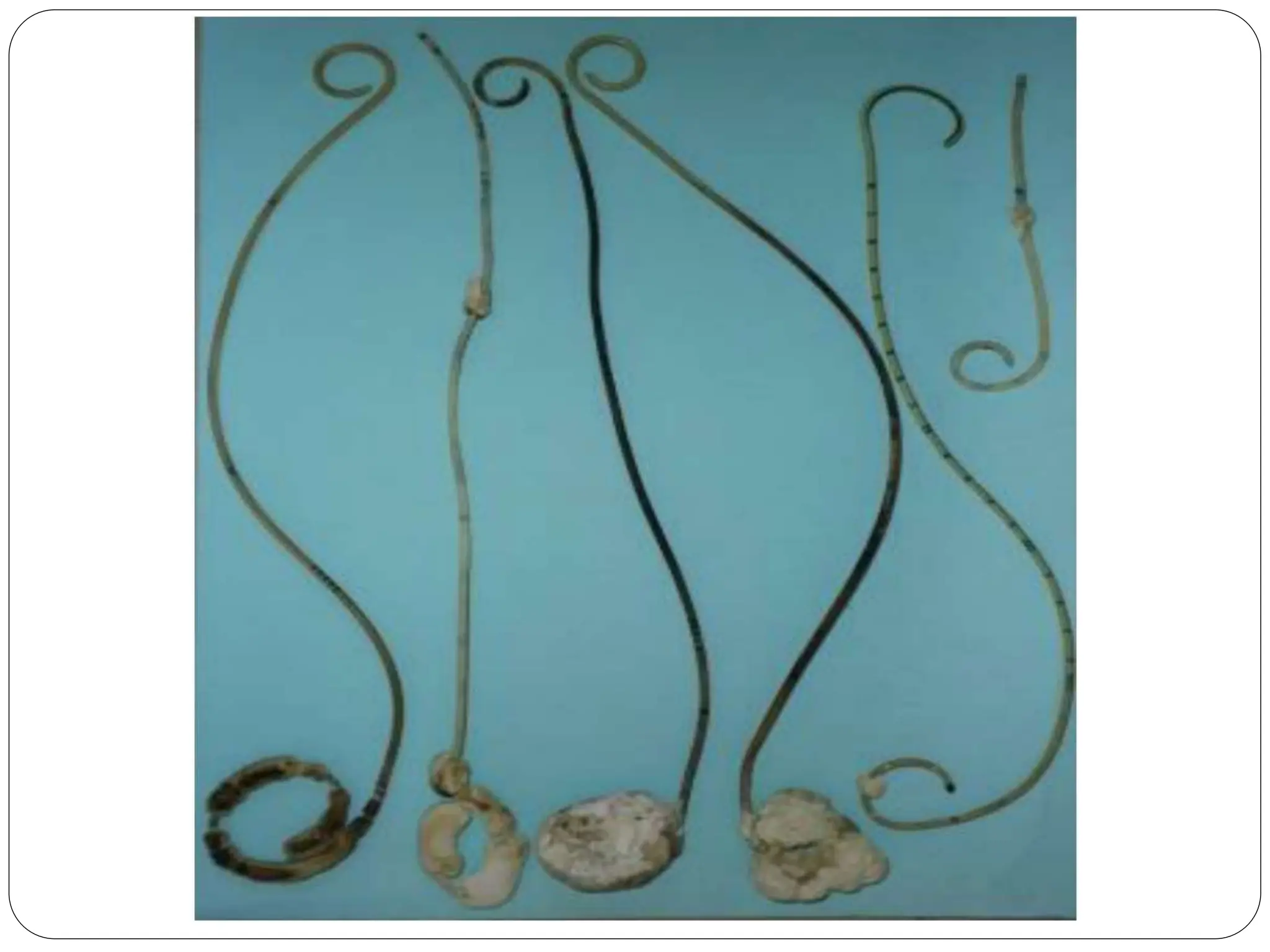 Urological instruments(uses,indication&contraindication).pptx