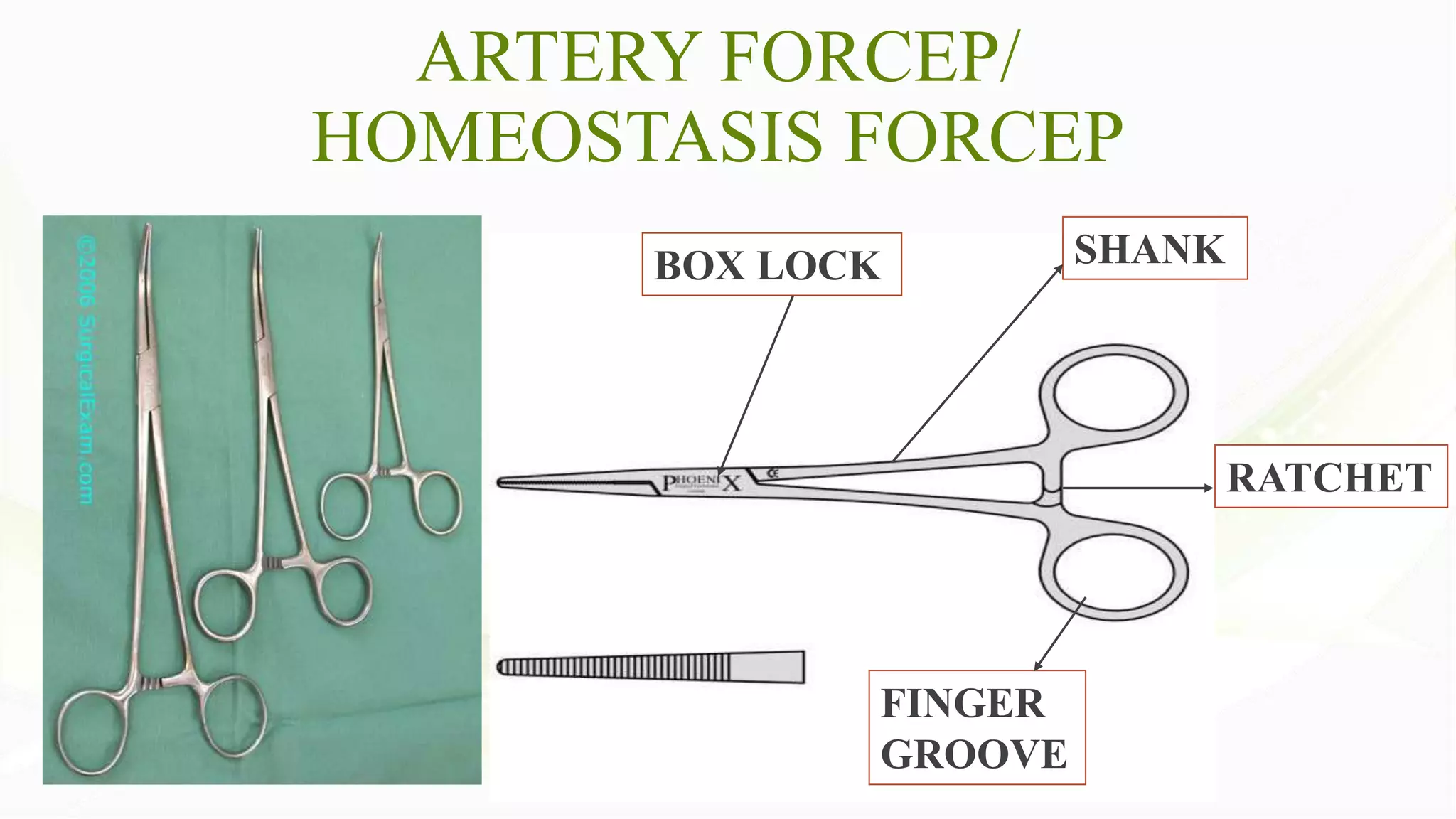 instruments (1).pptx