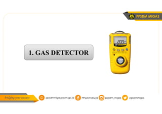 hse INSTRUMENT SAFETY, GAS DETECTOR SLM.pdf