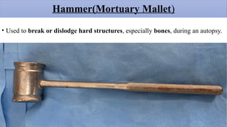 INSTRUMENTS OF AUTOPSY AND EVISCERATION TECHNIQUE 2.pptx