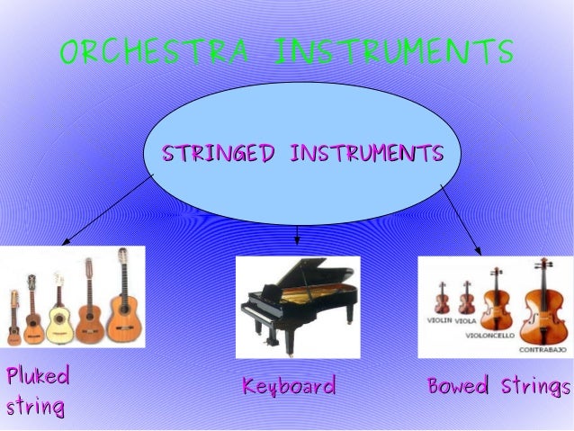 Instruments of the orchestra