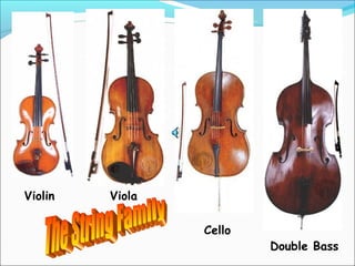 String Instruments Of The Orchestra