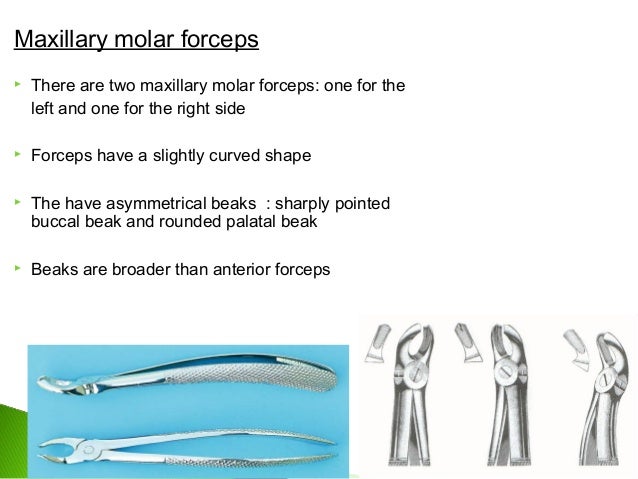 Instrument used in exodontia