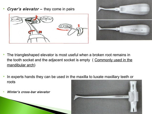Instrument used in exodontia (updated) | PPT | Dental Health | Diseases ...