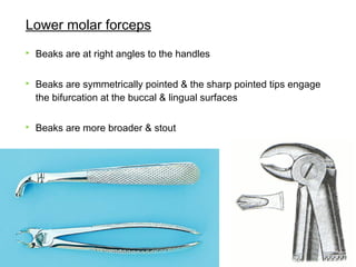 Mandibular Forceps Used In Dental Extractions, 59% OFF