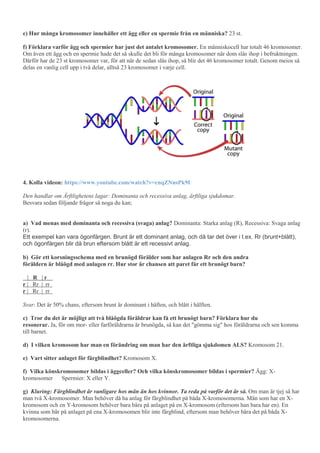 Instuderingsfrågor med svar -new.docx