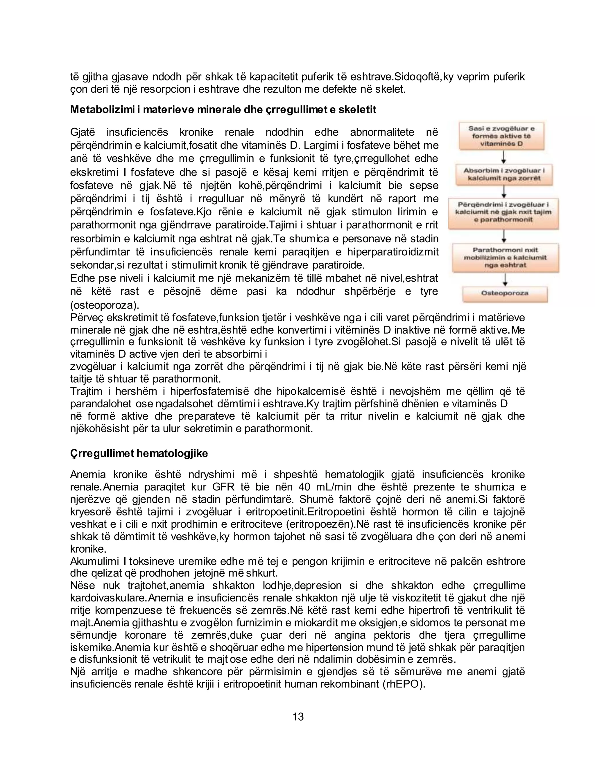 Insuficienca renale | DOCX