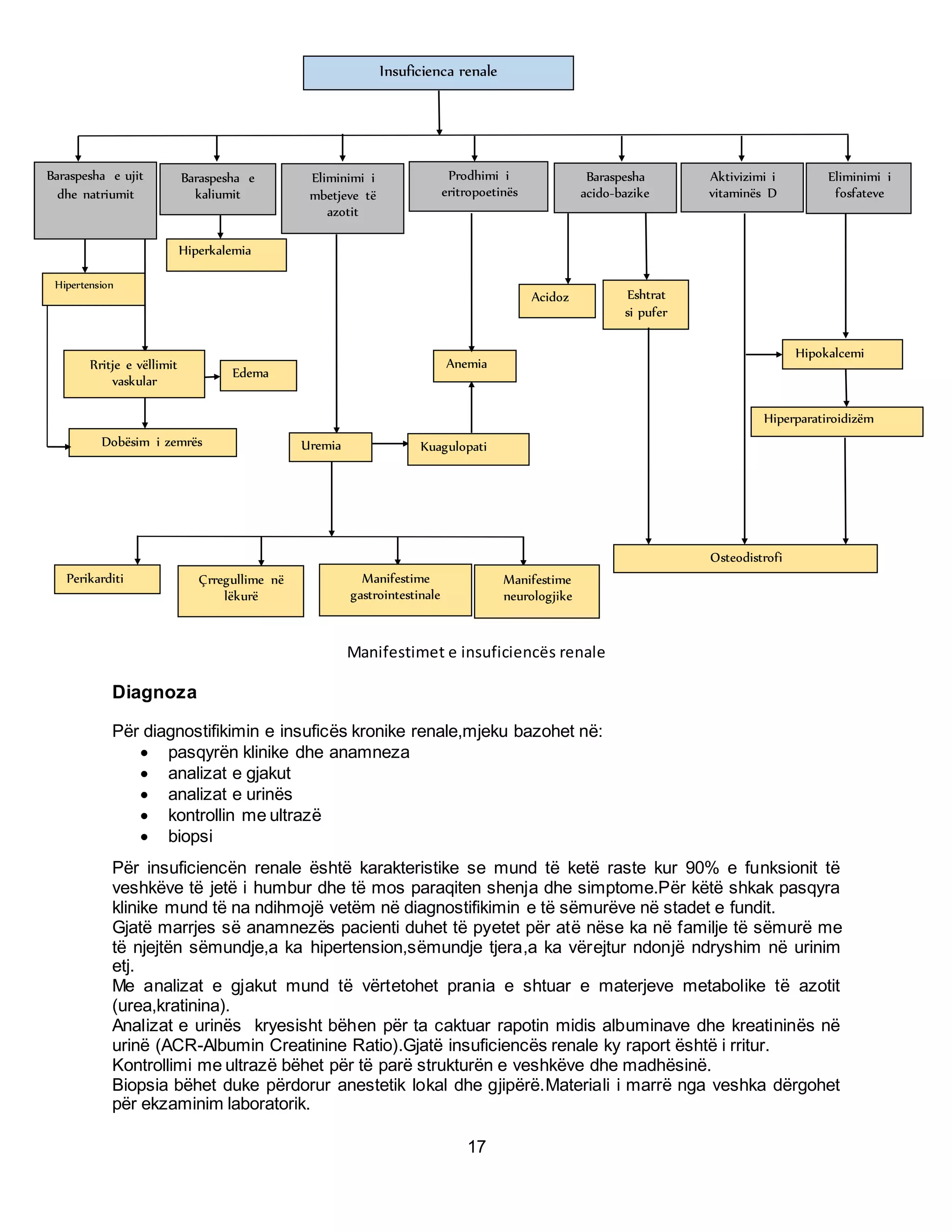 Insuficienca renale | DOCX