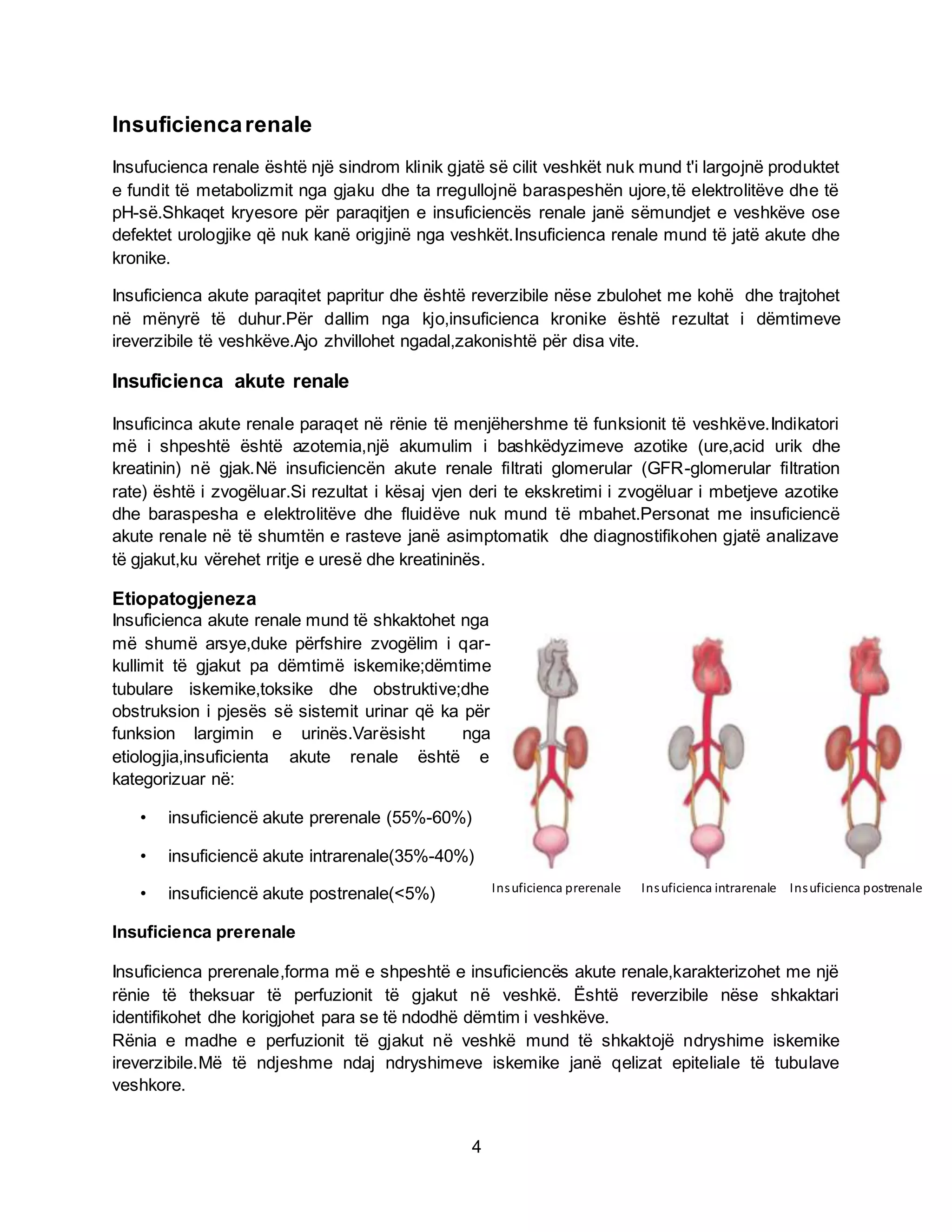 Insuficienca renale | DOCX