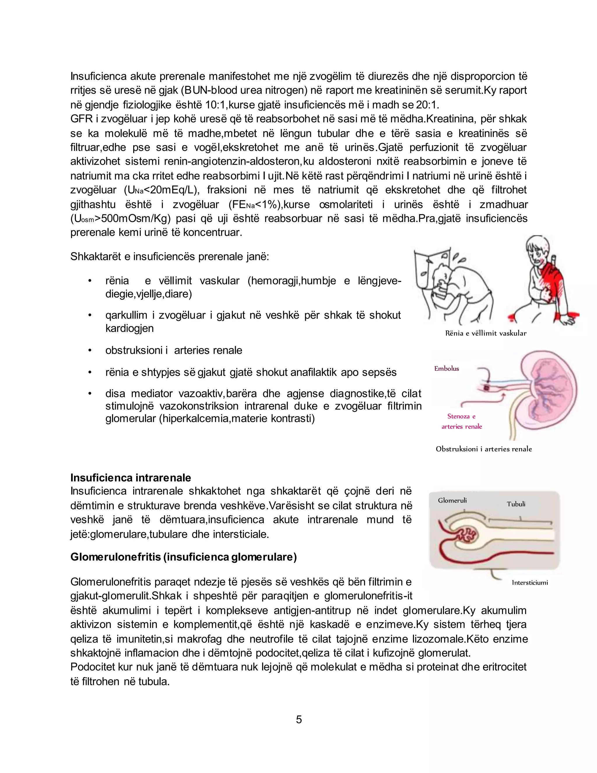 Insuficienca renale | DOCX