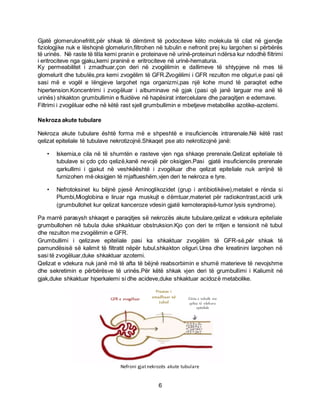 Insuficienca renale | DOCX