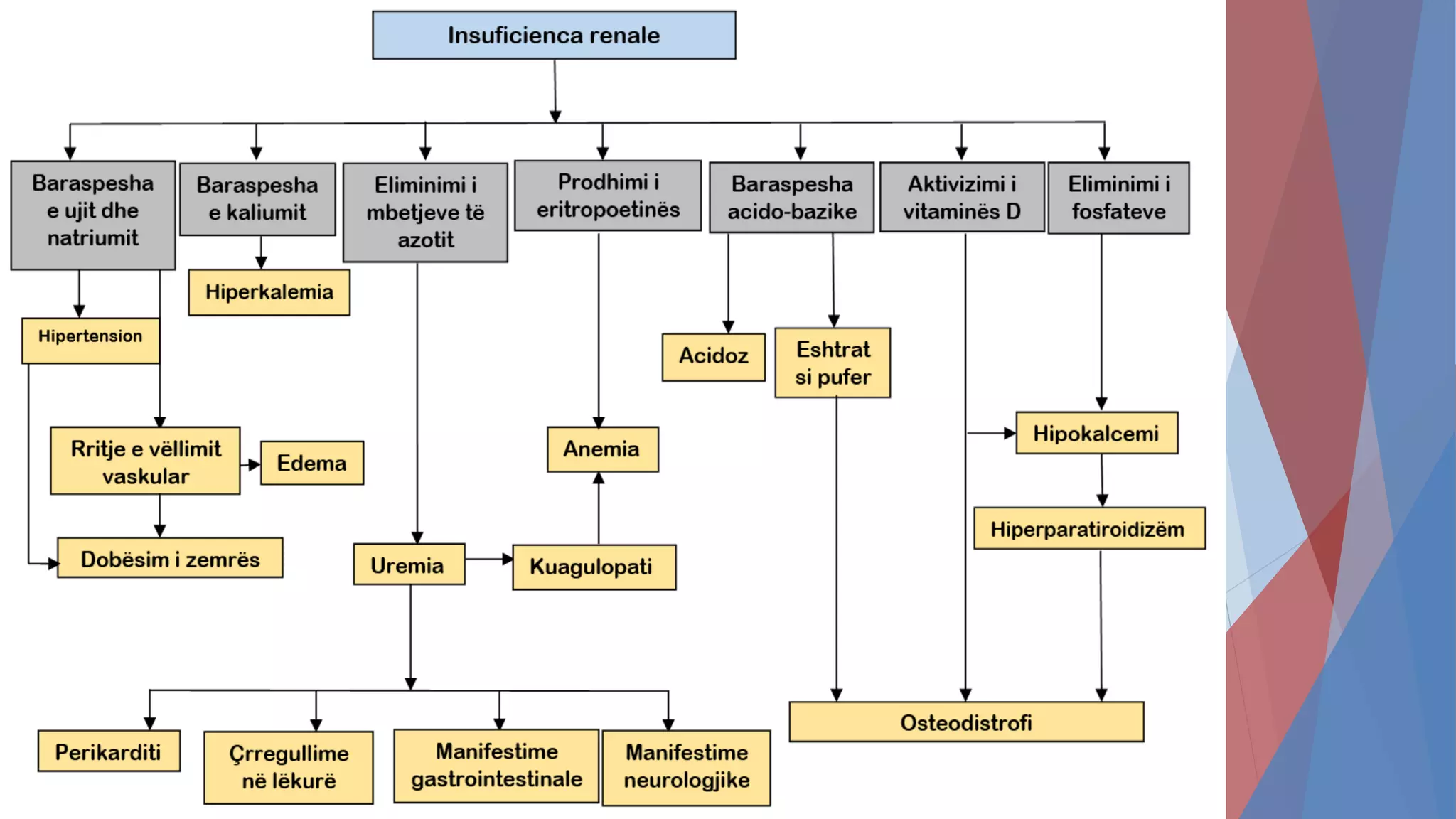 Insuficienca renale | PPTX