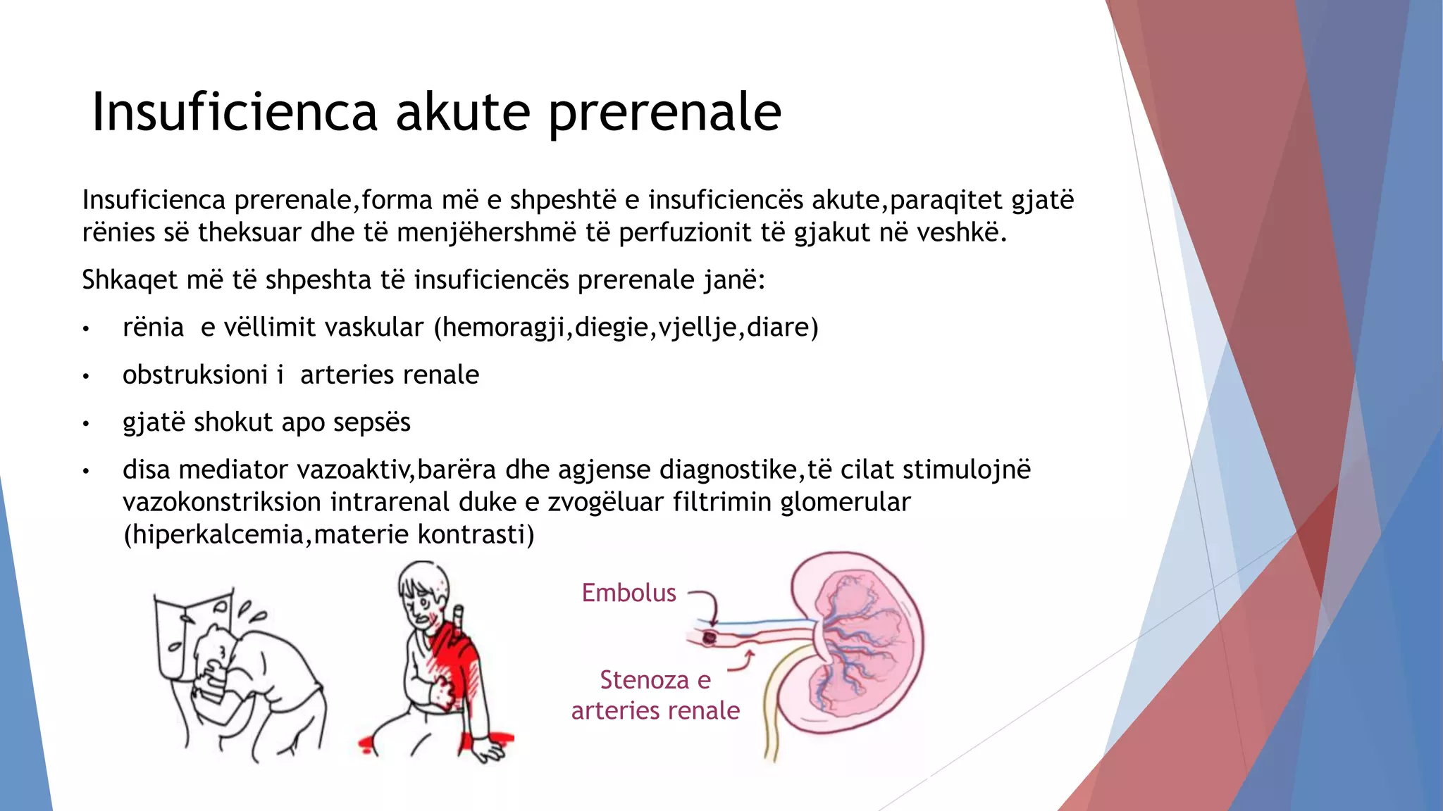 Insuficienca renale | PPTX
