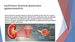 Insuficienca renale | PPTX