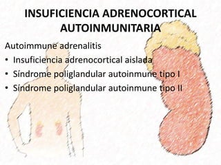 Insuficiencia adrenocortical | PPTX