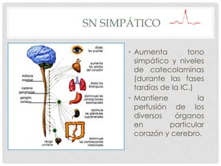 Insuficiencia cardiaca | PPTX