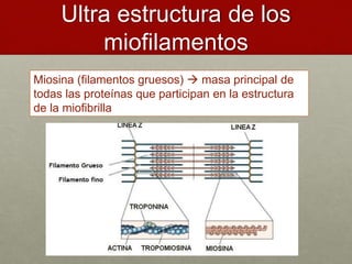 Insuficiencia cardiaca | PPTX