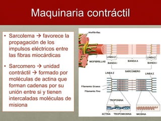 Insuficiencia cardiaca | PPTX