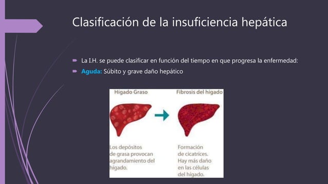 Insuficiencia Hepática, proceso salud- enfermedad | PPT