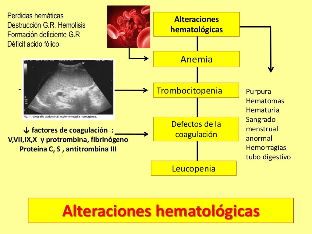 Fisiopatologia de Insuficiencia hepatica, Universidad Mayor de San Si…