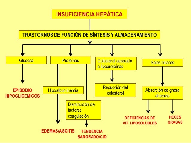 Fisiopatologia de Insuficiencia hepatica, Universidad Mayor de San Si…