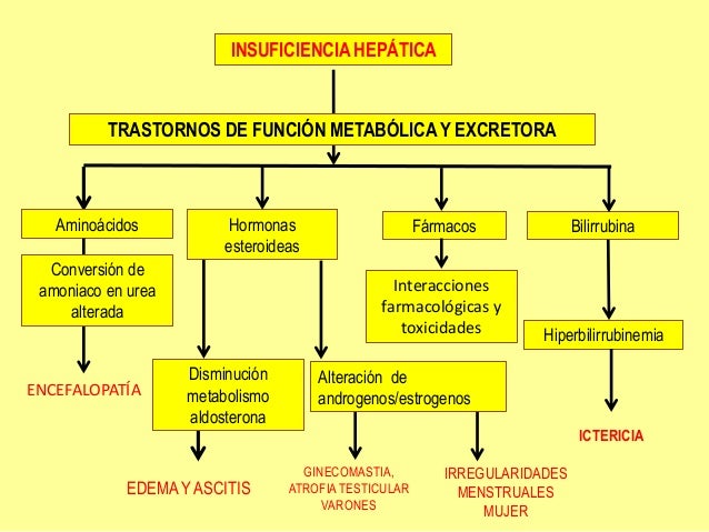 Fisiopatologia de Insuficiencia hepatica, Universidad Mayor de San Si…