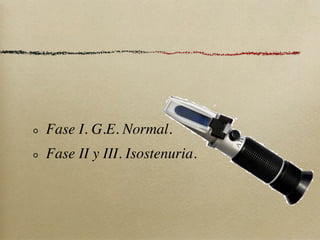Insuficiencia renal | KEY