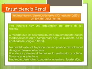 Insuficiencia Renal | PPTX