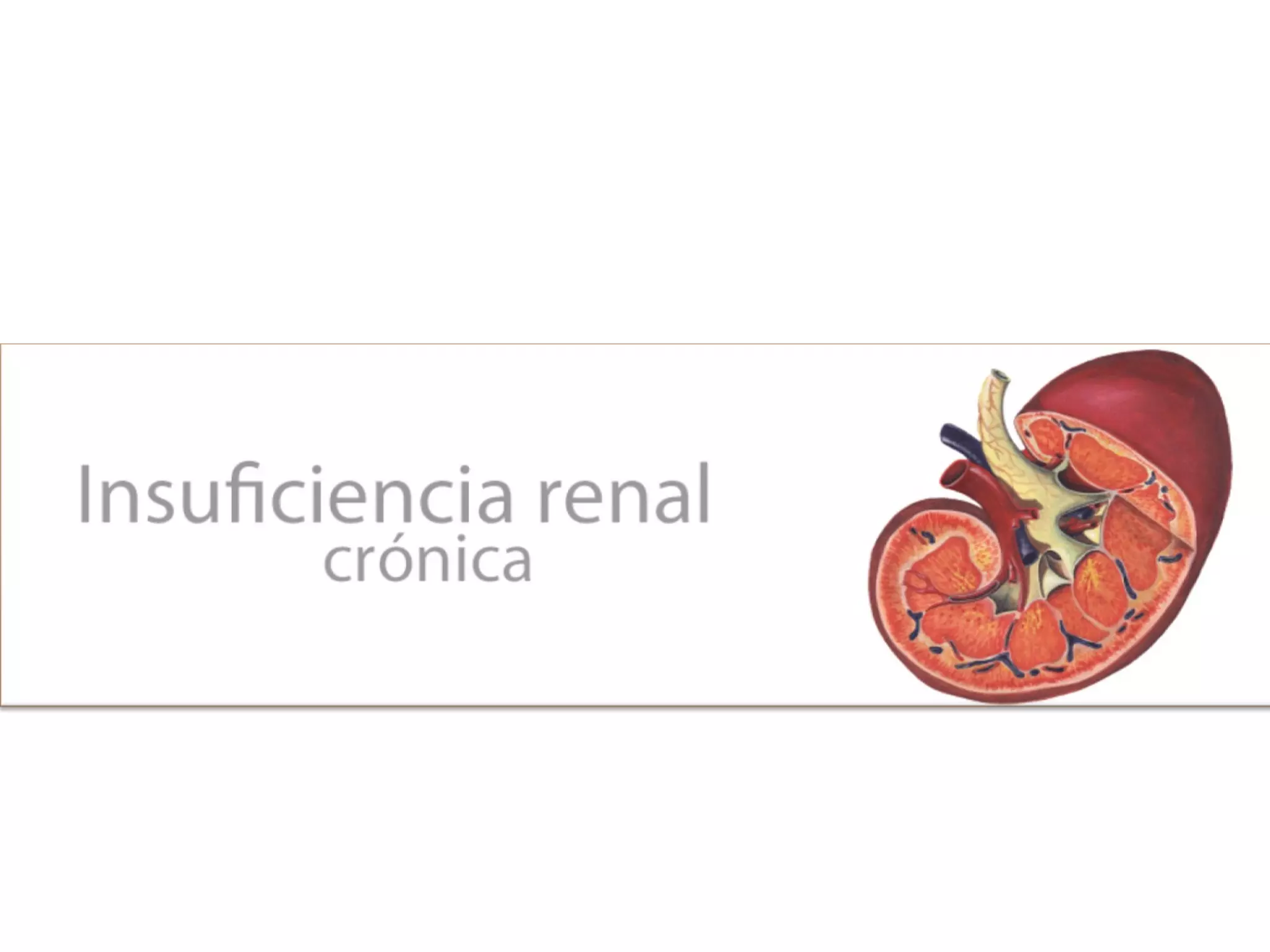 Insuficiencia renal | PPT
