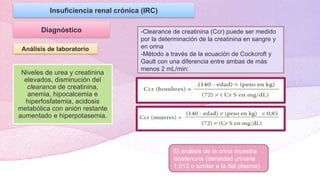 INSUFICIENCIA_RENAL.pptxestudiarfuncion renal | PPTX