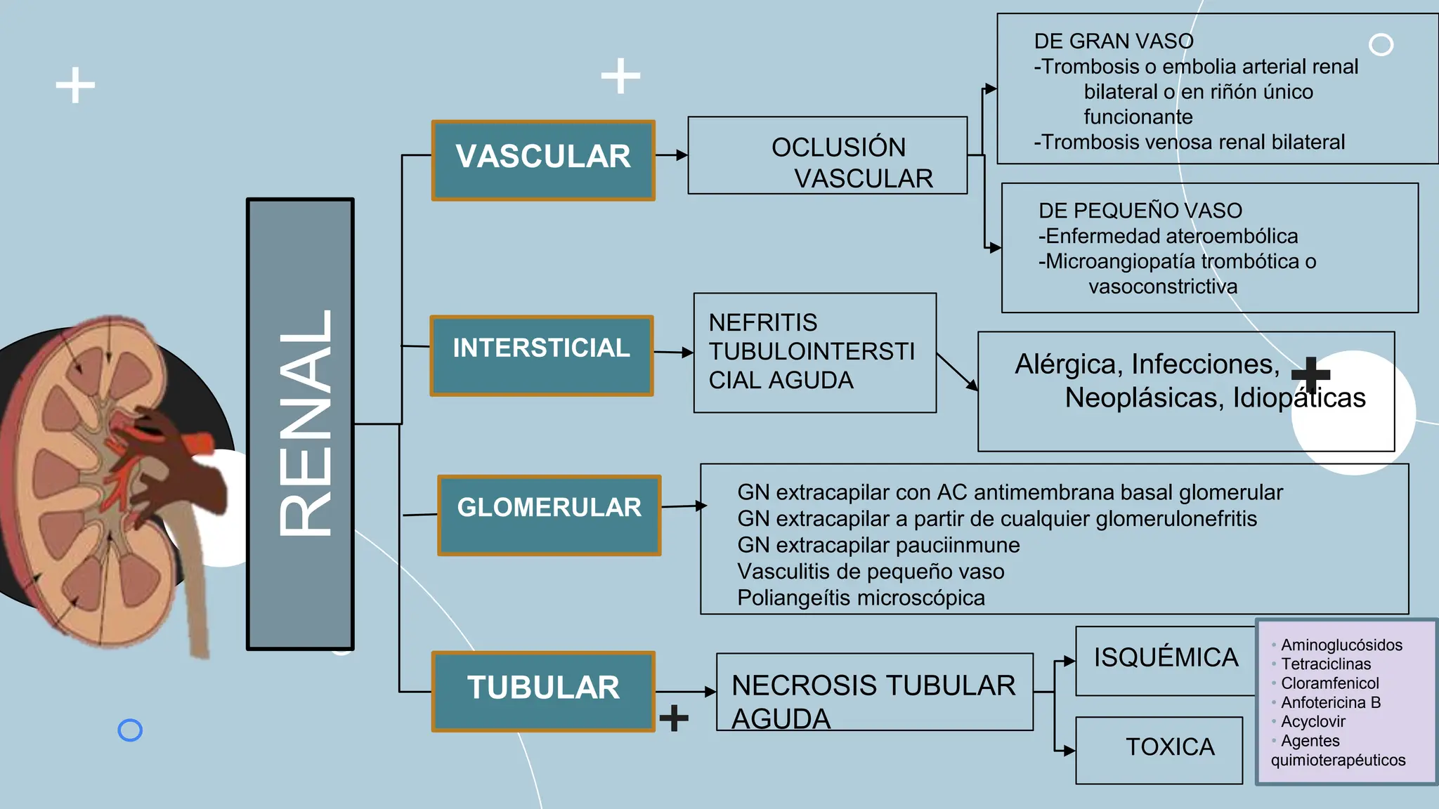 INSUFICIENCIA RENAL-aguda hospital reategui piura | PPT