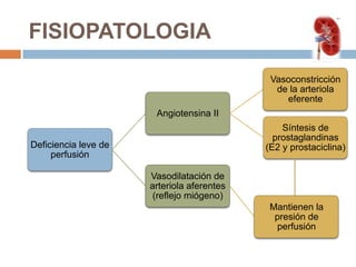 Insuficiencia renal aguda | PPTX