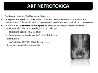Insuficiencia renal aguda | PPTX