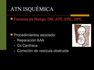 Insuficiencia renal aguda | PPT