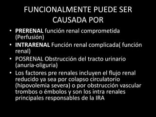 Insuficiencia Renal Aguda- Patologia.pptx