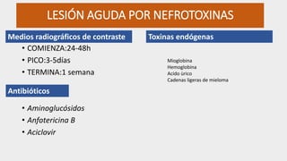 Insuficiencia renal aguda e itu | PPTX