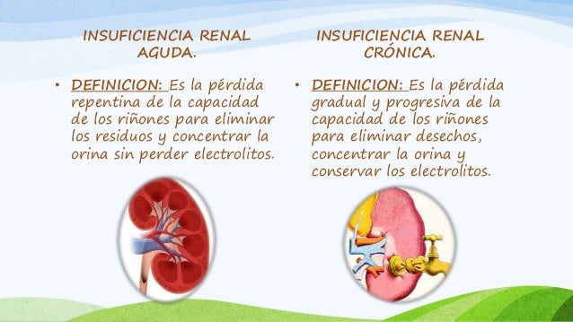 Cuadro Comparativo De Insuficiencia Renal Cronica Y Aguda – Jethro Jeff Cuadro Comparativo De Insuficiencia Renal Cronica Y Aguda – Jethro Jeff