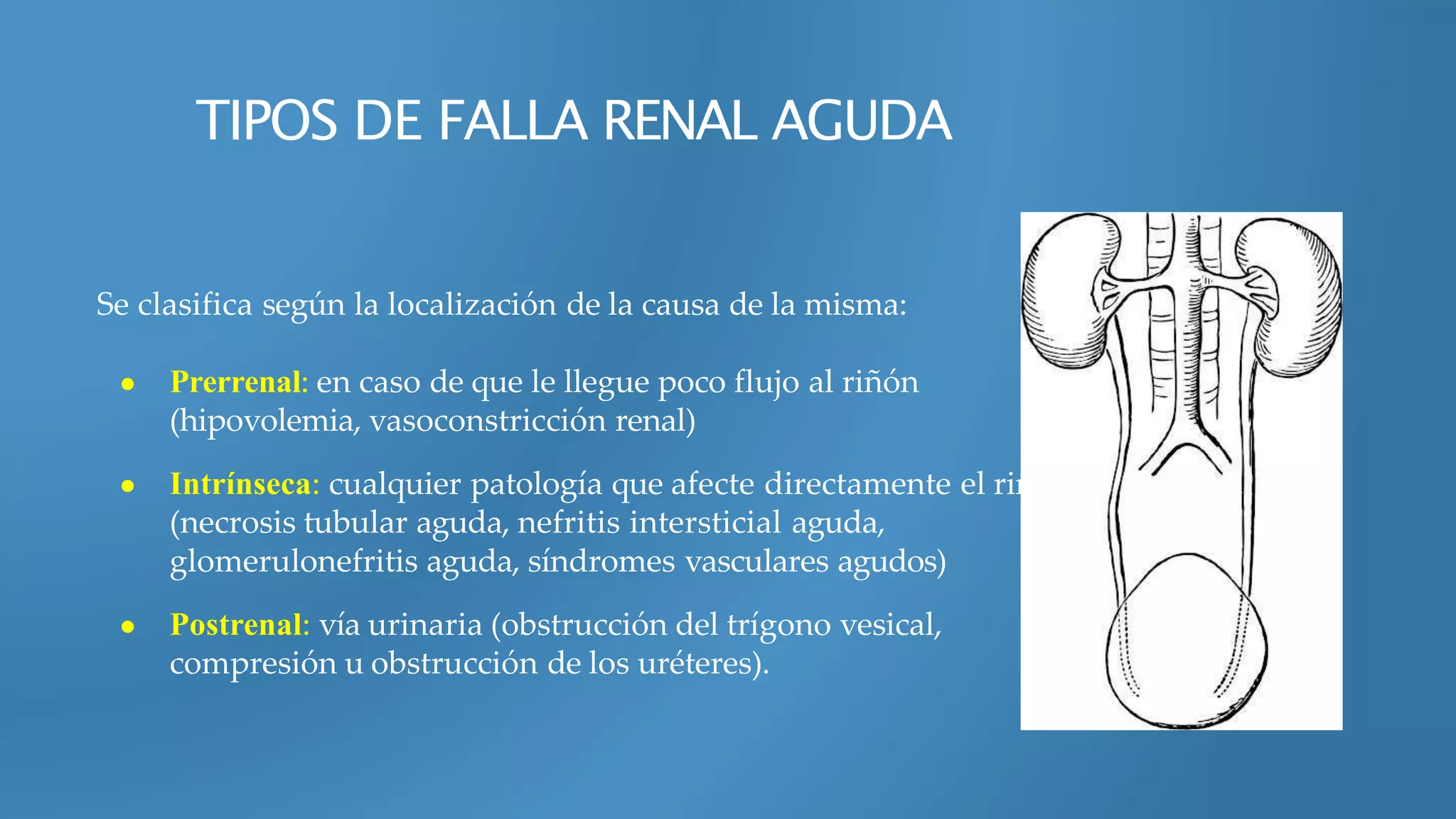 Insuficiencia renal aguda y cronica.pptx