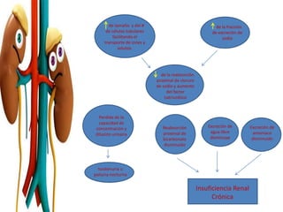 Insuficiencia renal crónica | PPTX