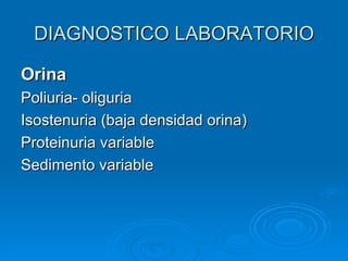 Insuficiencia Renal Cronica (Sesión sep 2011) | PPT