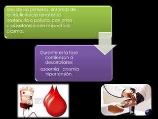 Insuficiencia renal cronica | PPTX