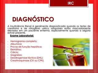 Insuficiência Renal Crônica | PPTX
