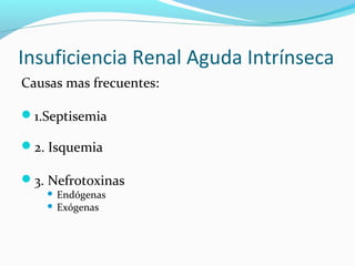 Insuficiencia renal intrinseca | PPT