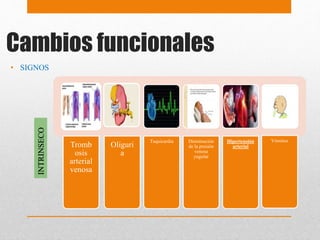 Insuficiencia renal y necrosis tubular aguda | PPTX