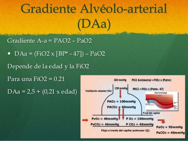 Mecanismos fisiopatológicos Insuficiencia respiratoria