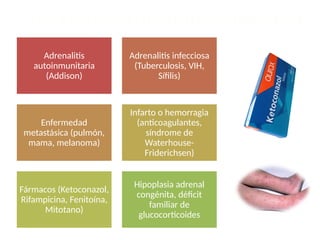 insuficiencia supraadrenal fisiopatologia, diagnostico y tratamiento | PPTX