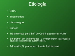 Insuficiencia suprarrenal | PPT