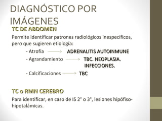 Insuficiencia suprarrenal | PPT