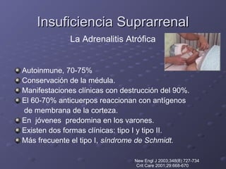 Insuficiencia suprarrenal | PPT